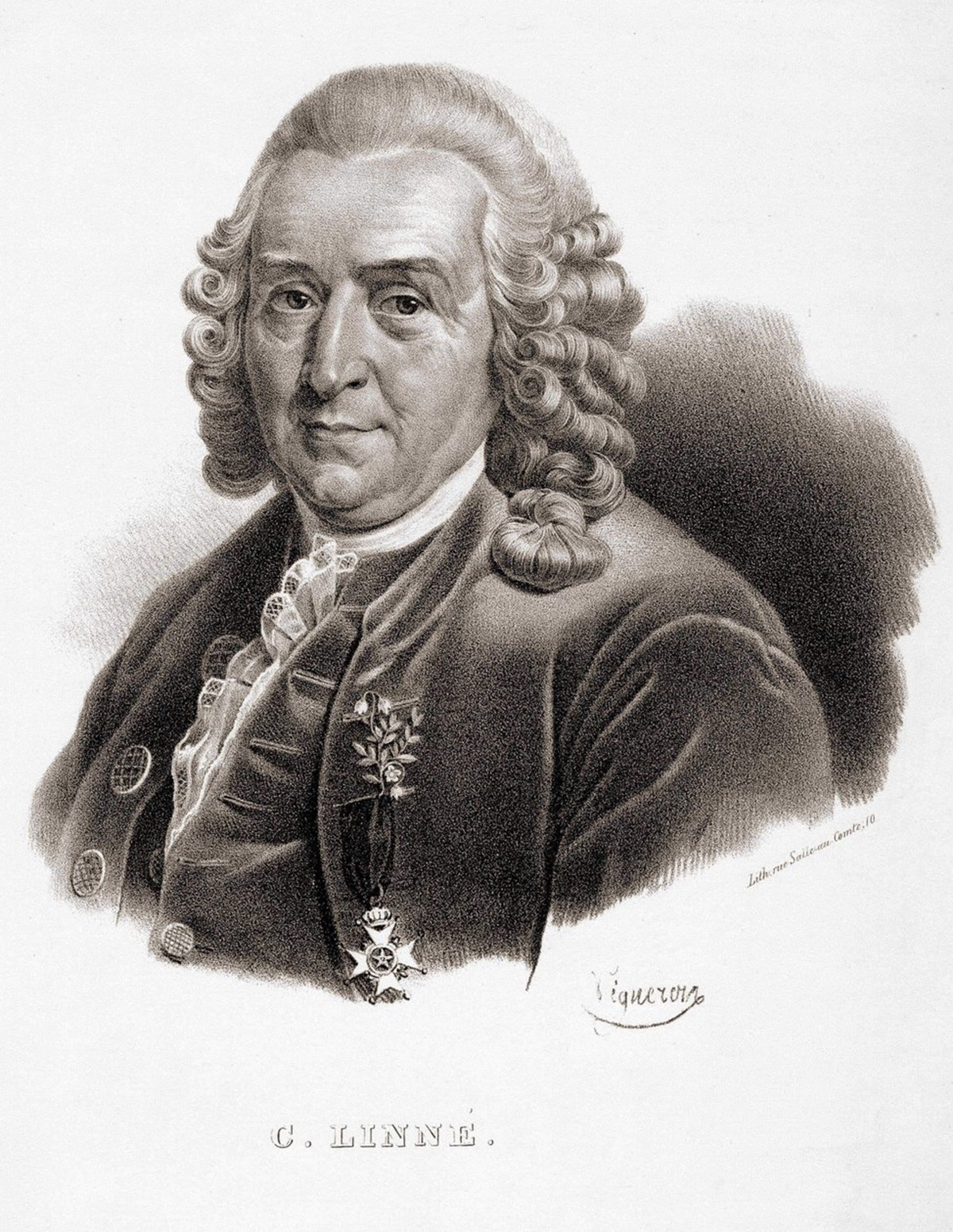 Carl Von Linne: Sınıflandırmanın babası | GazeteBilim